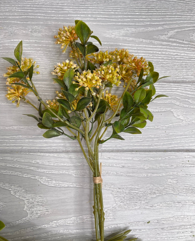 Golden Yellow cluster berry bush - Greenery Market