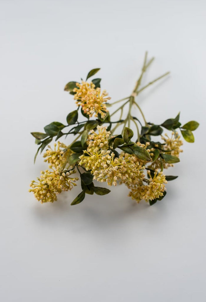Golden Yellow cluster berry bush - Greenery Market