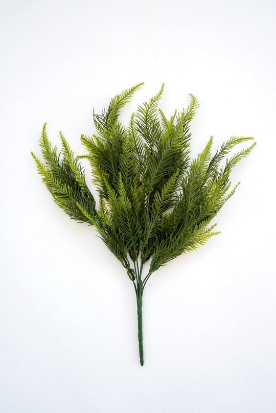 Greenery market everyday feather fern - Greenery Market