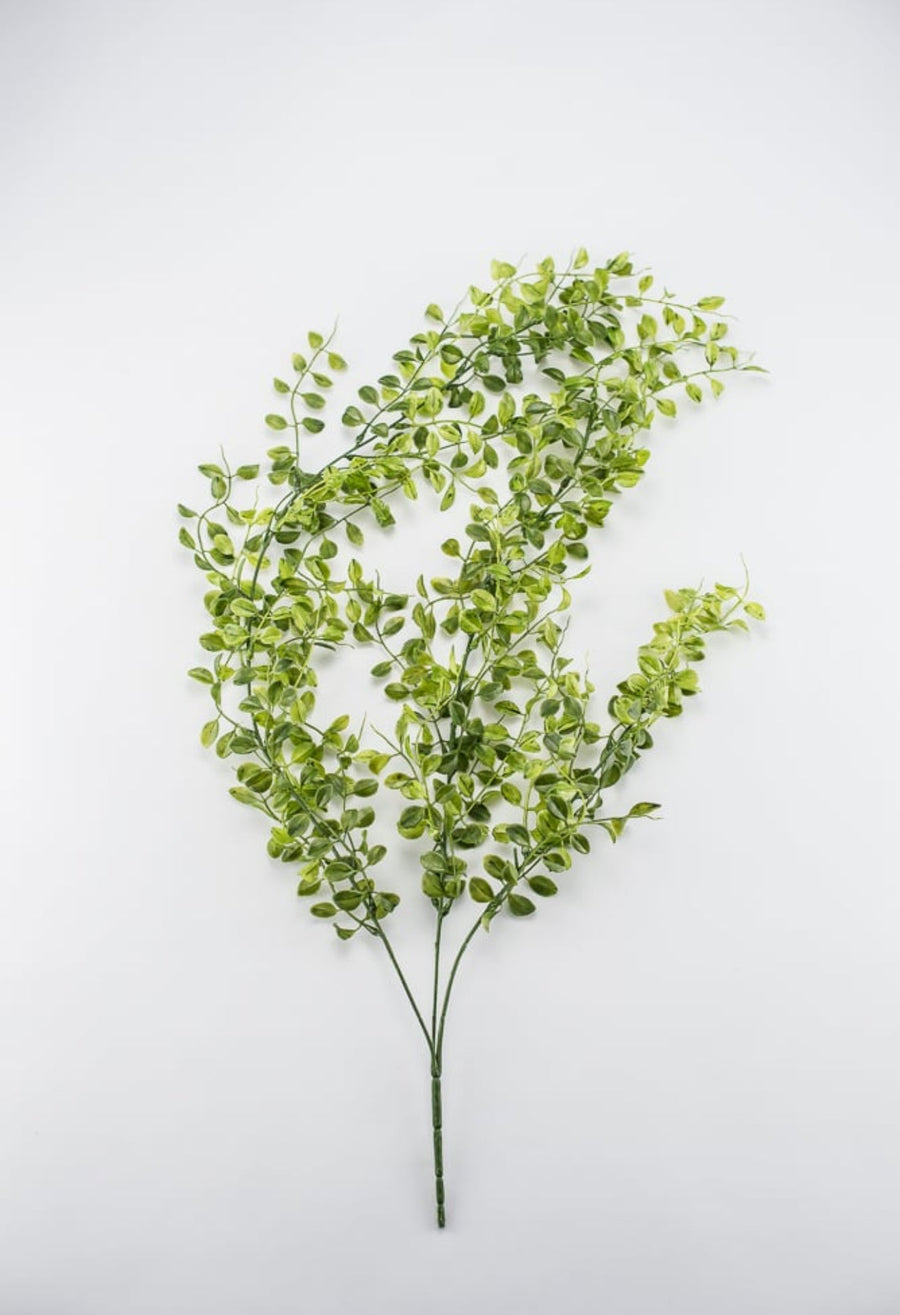 All season greenery – Page 3 – Greenery Market