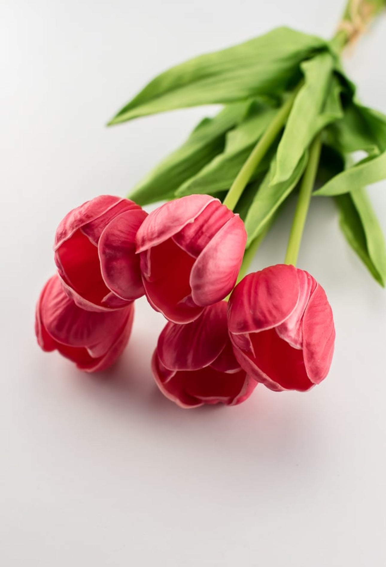 Hot pink, soft touch, life like tulip bundle - Greenery Market