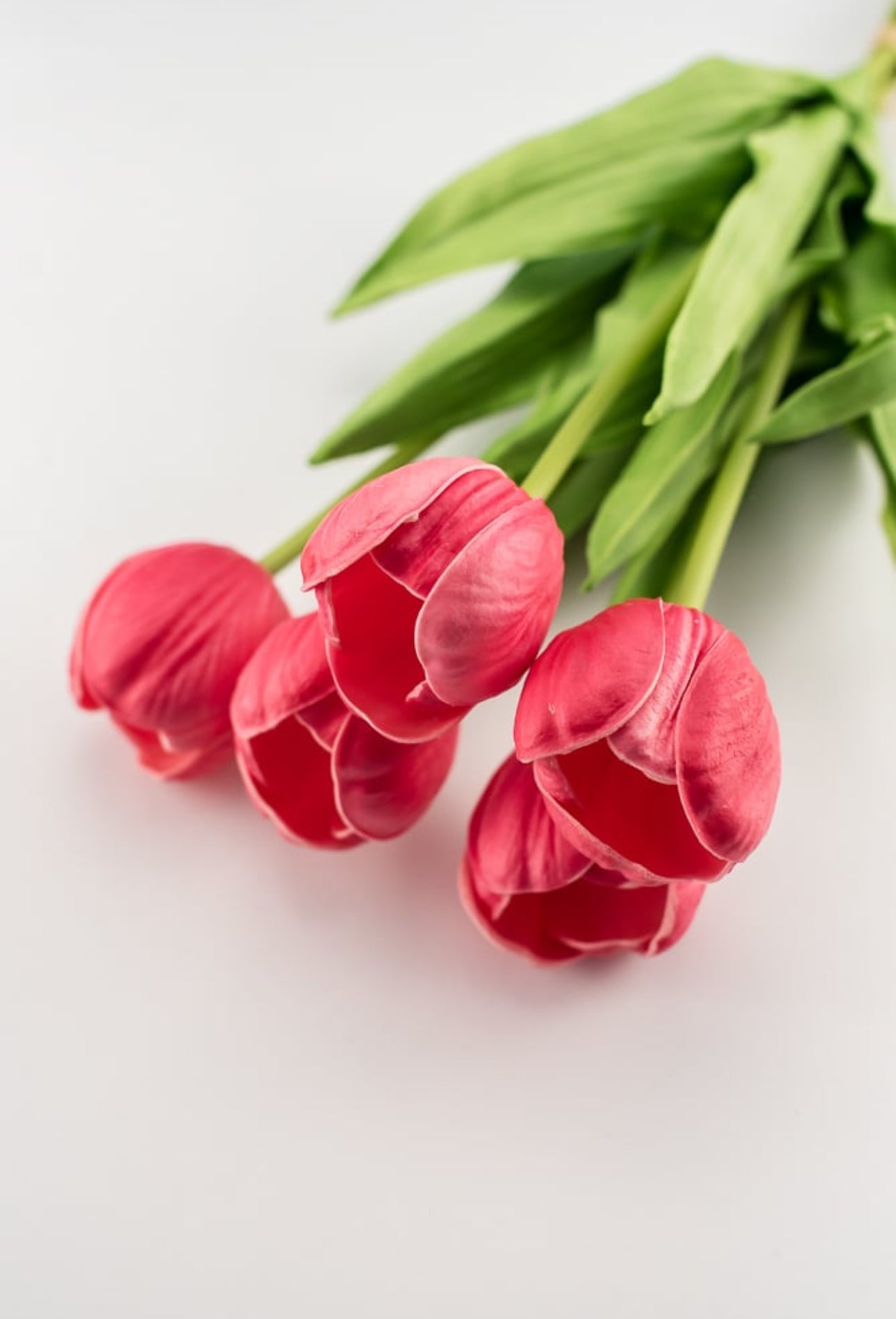 Hot pink, soft touch, life like tulip bundle - Greenery Market