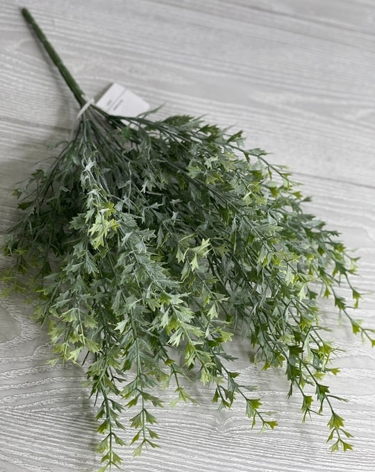 As Seen On SCW – Page 2 – Greenery Market