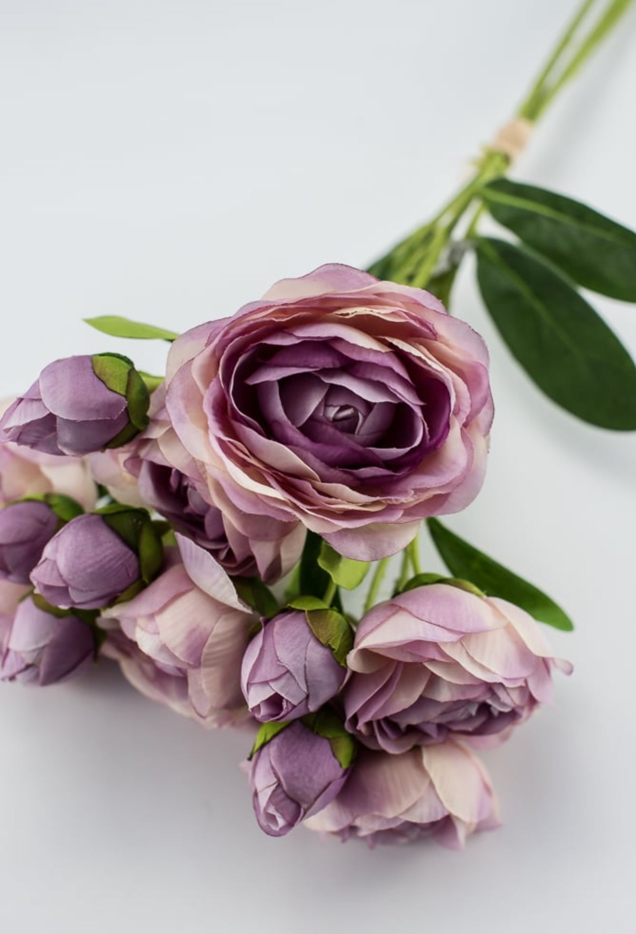 Lavender ranunculus bundle - Greenery Market
