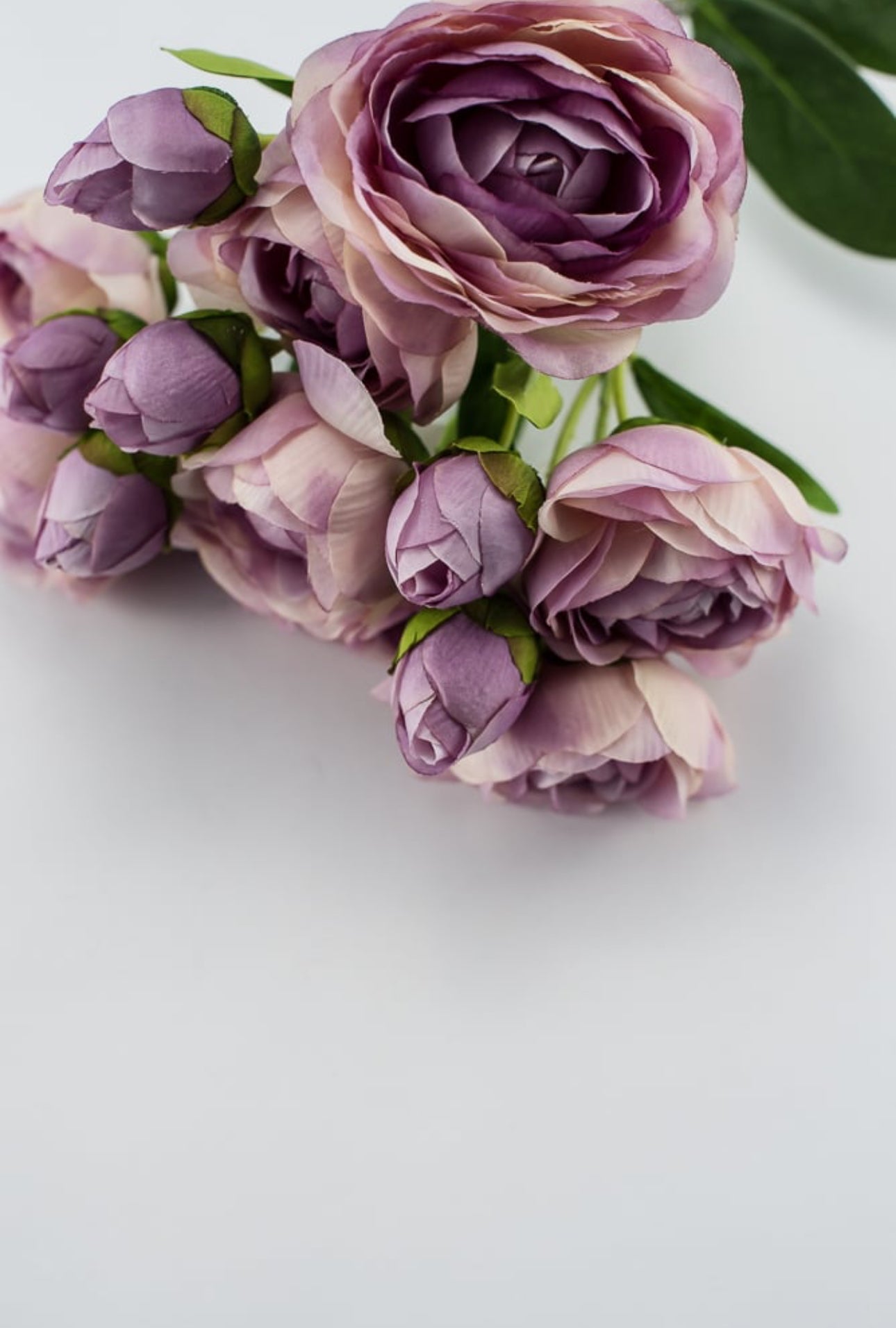 Lavender ranunculus bundle - Greenery Market