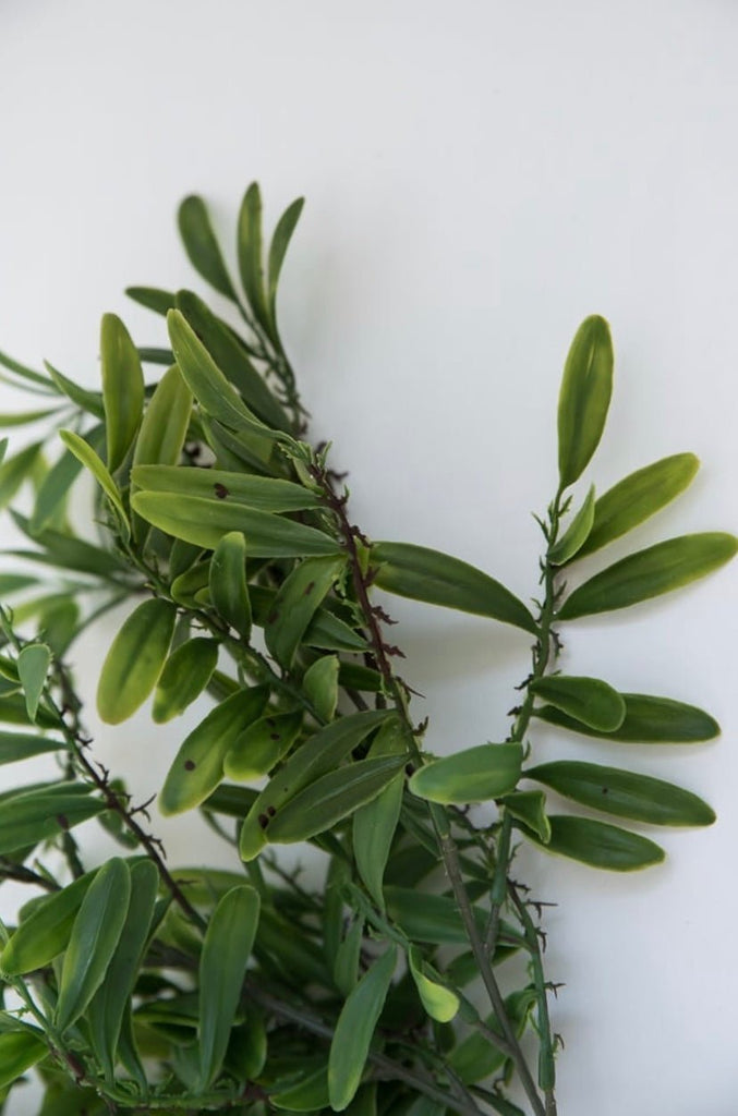 Life like Greenery leaf bush - Greenery Market