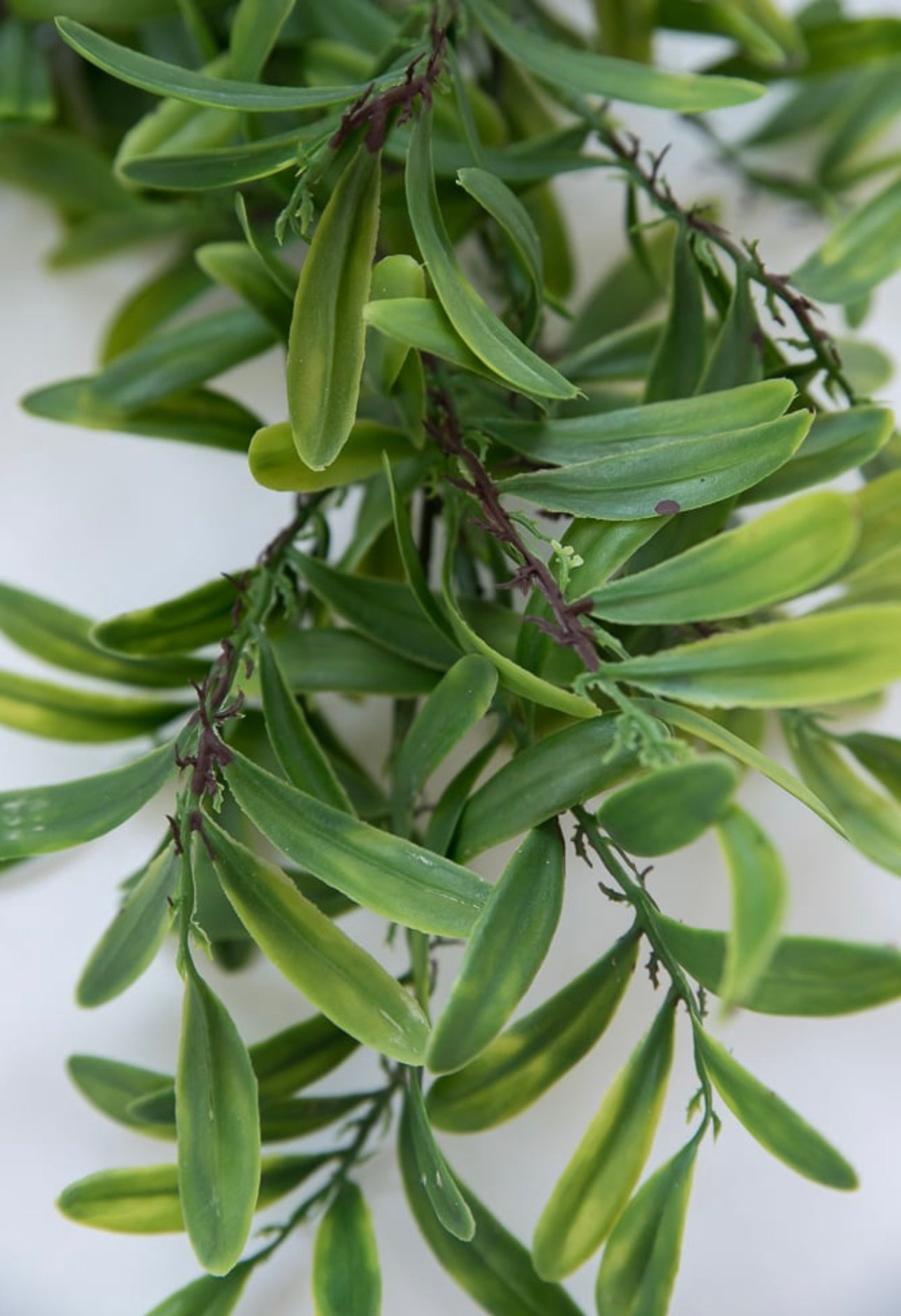 Life like Greenery leaf bush - Greenery Market