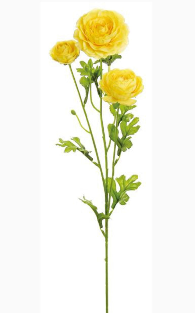 Mango ranunculus spray - Greenery Market