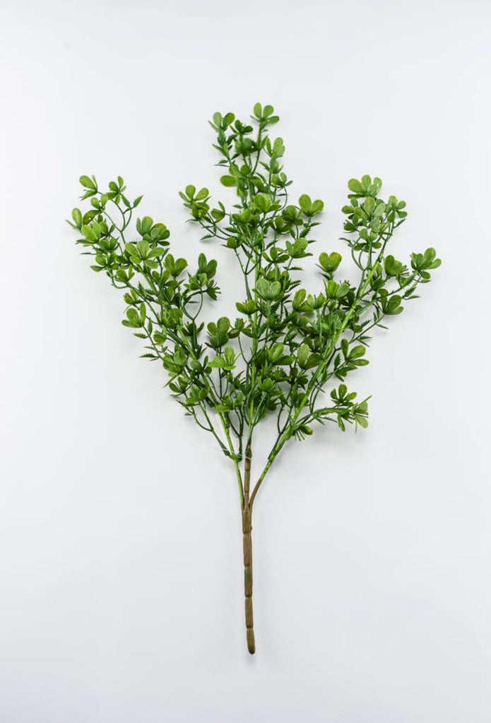 mini flowering greenery bush - Greenery Market