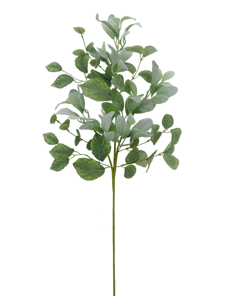 mixed lambs ear greenery spray - Greenery Market