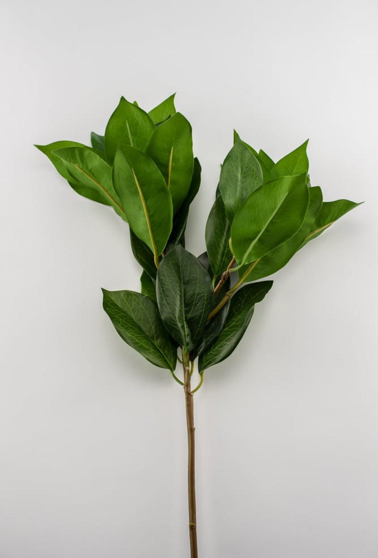 Real touch, laurel leaves spray - Greenery Market