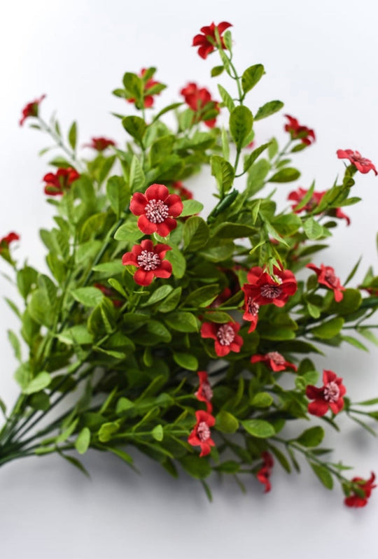Red filler flower and greenery bush - Greenery Market