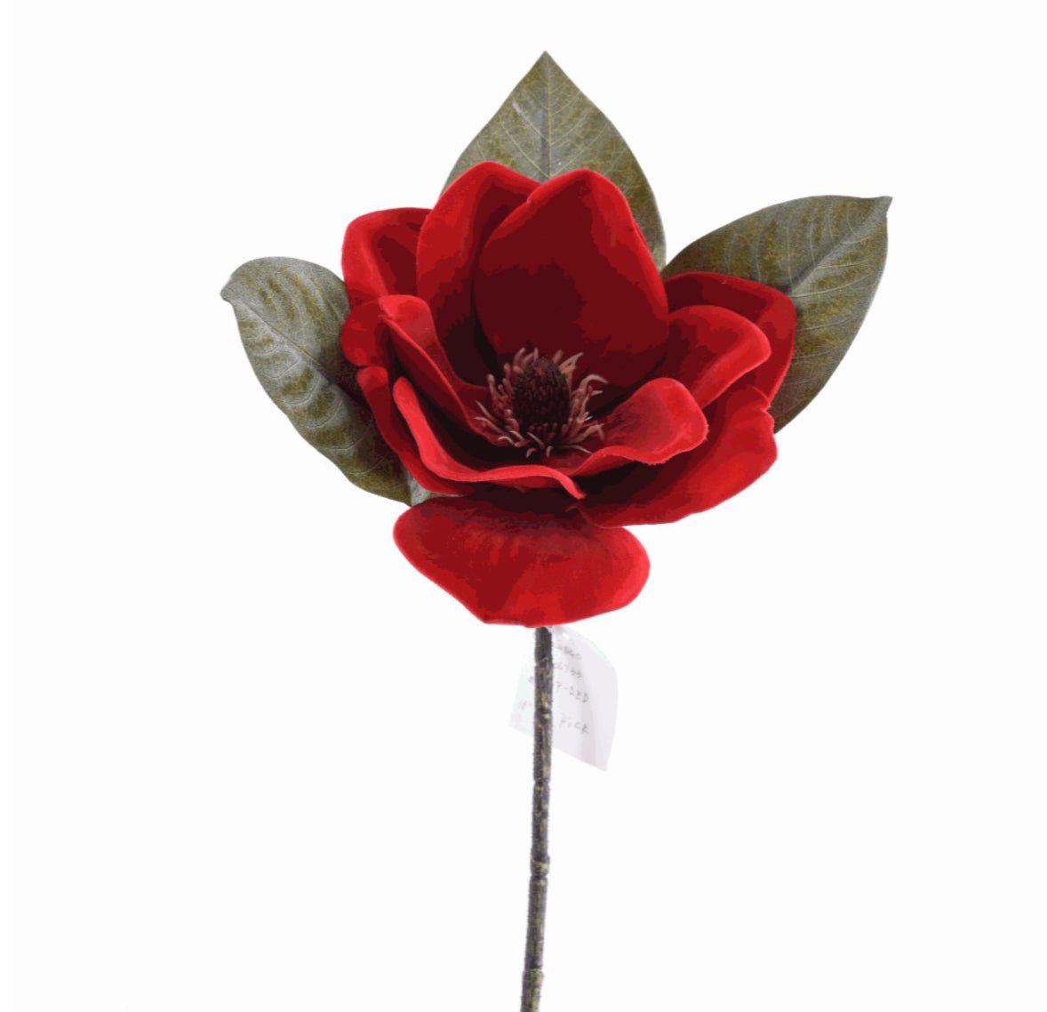 Red Magnolia Flower Pictures