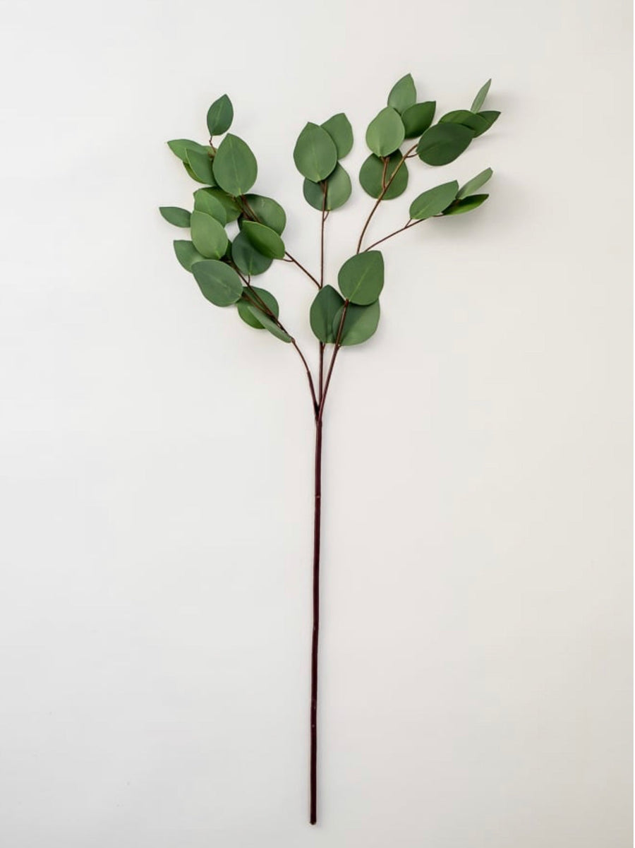 All season greenery – Page 3 – Greenery Market