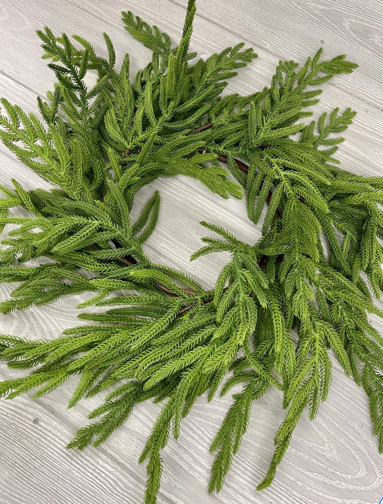 Soft touch, Norfolk pine wreath - Greenery Market