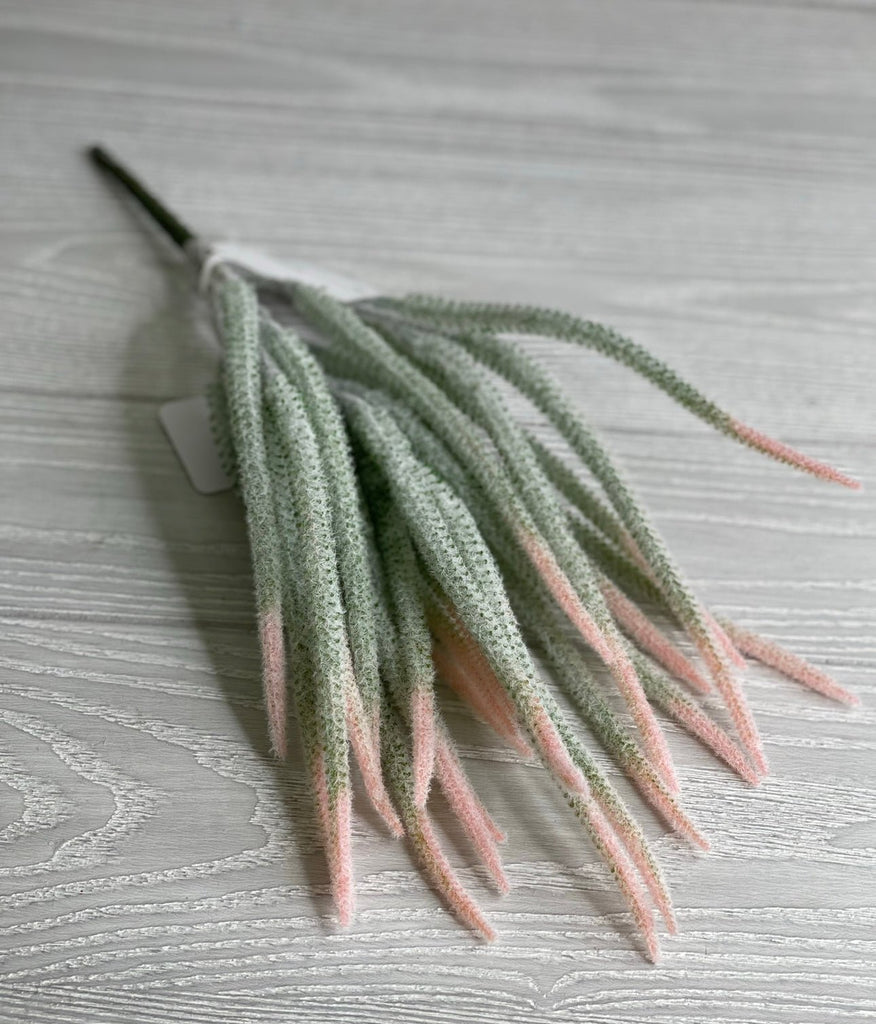 Tail bush with pink tips - Greenery Market