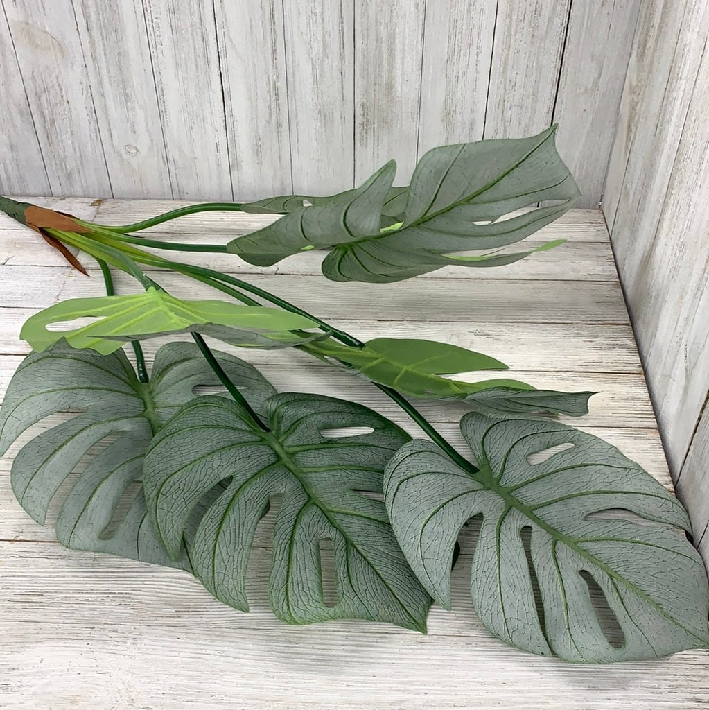 Tropical Turtle leaves plant bush - Greenery Market