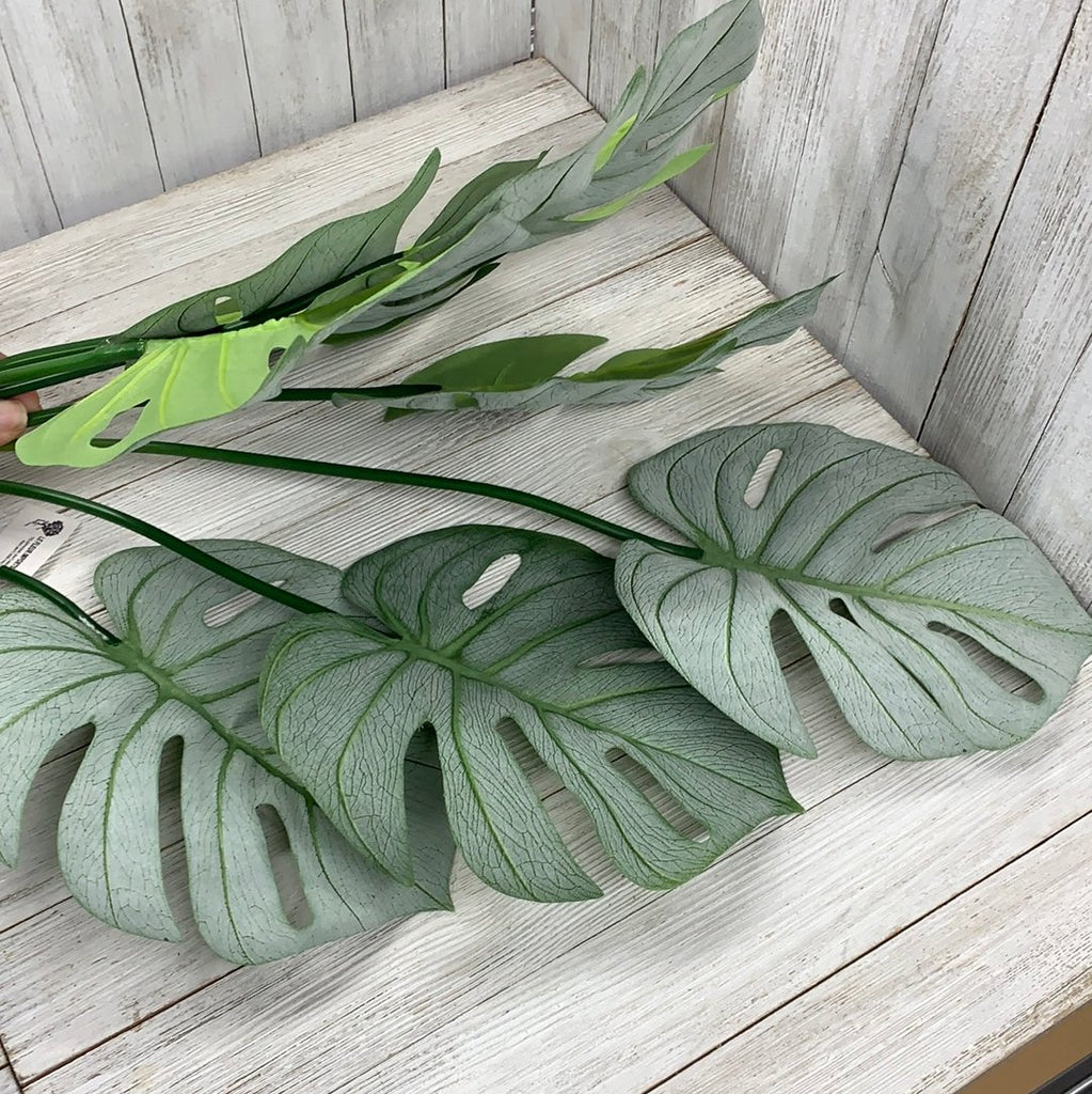 Tropical Turtle leaves plant bush - Greenery Market