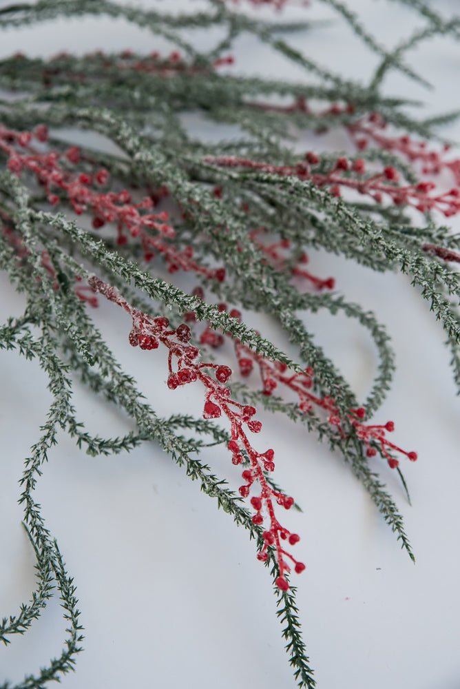 Winter willow bush with red berries - Greenery Market