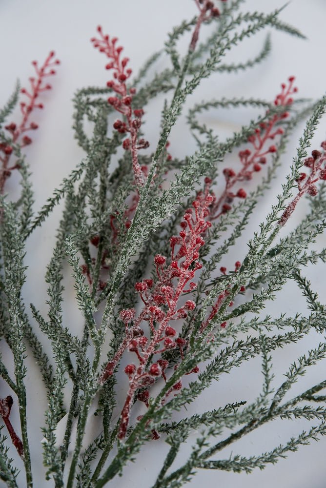 Winter willow bush with red berries - Greenery Market
