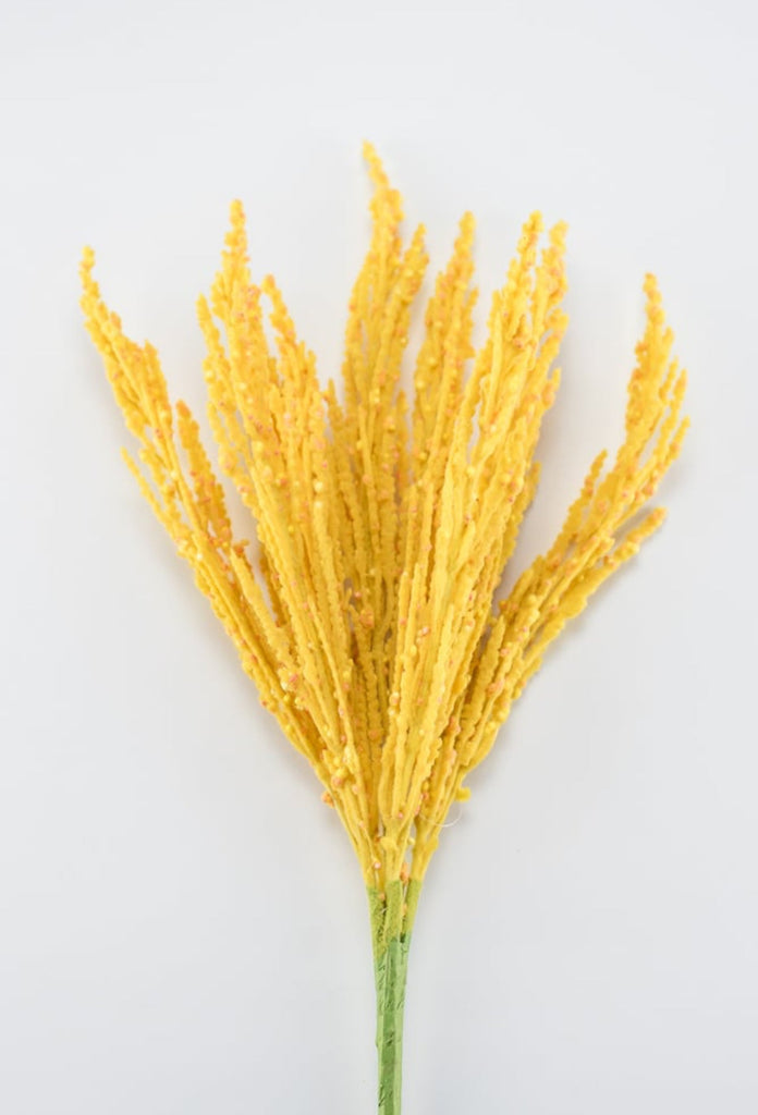 Yellow filler grass bush - Greenery Market