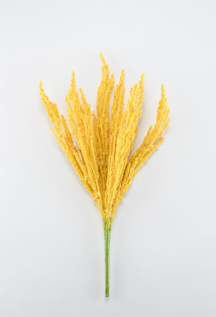 Yellow filler grass bush - Greenery Market